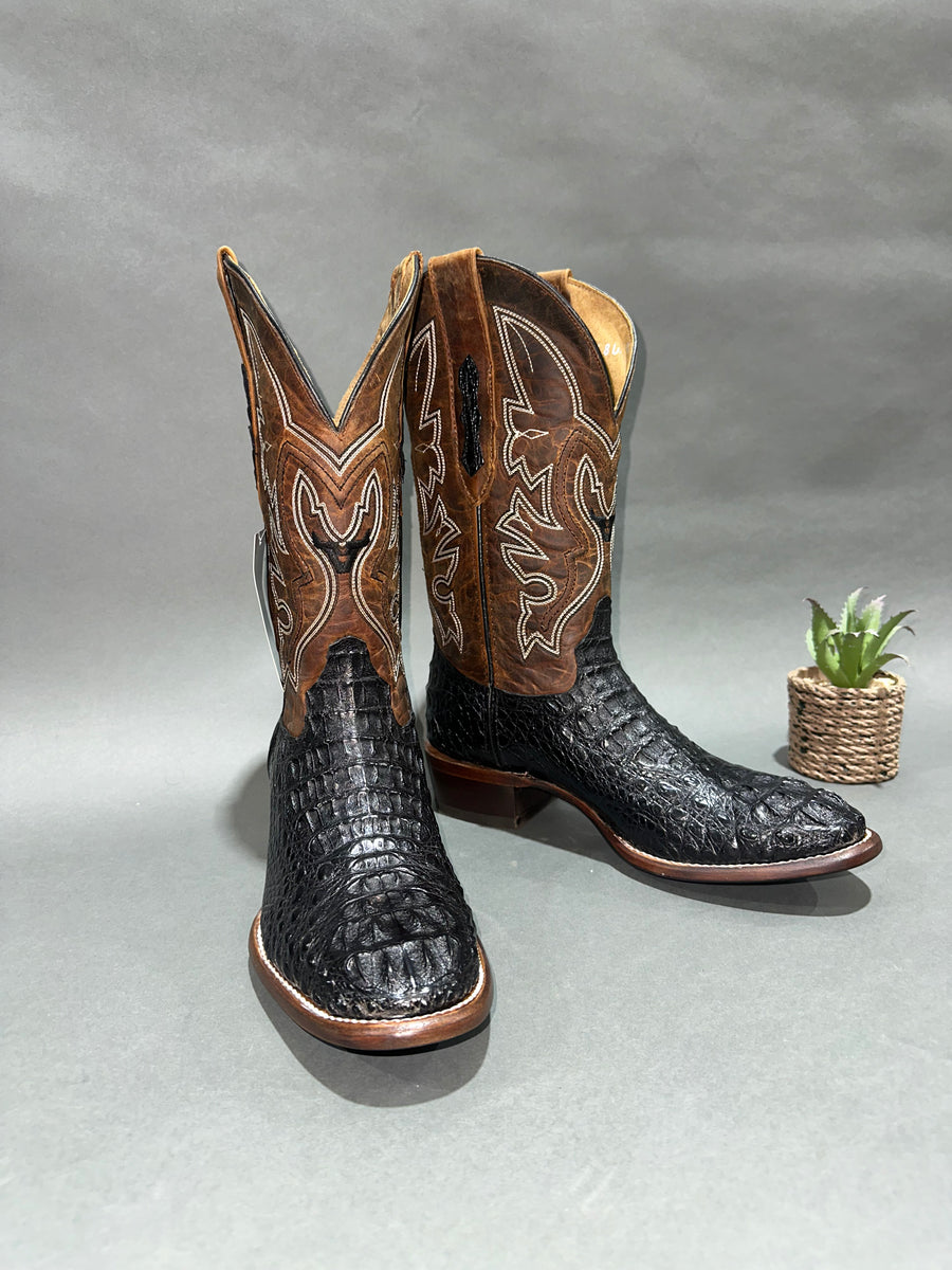 Roman Valley Black Caiman – Roman Valley Ranch