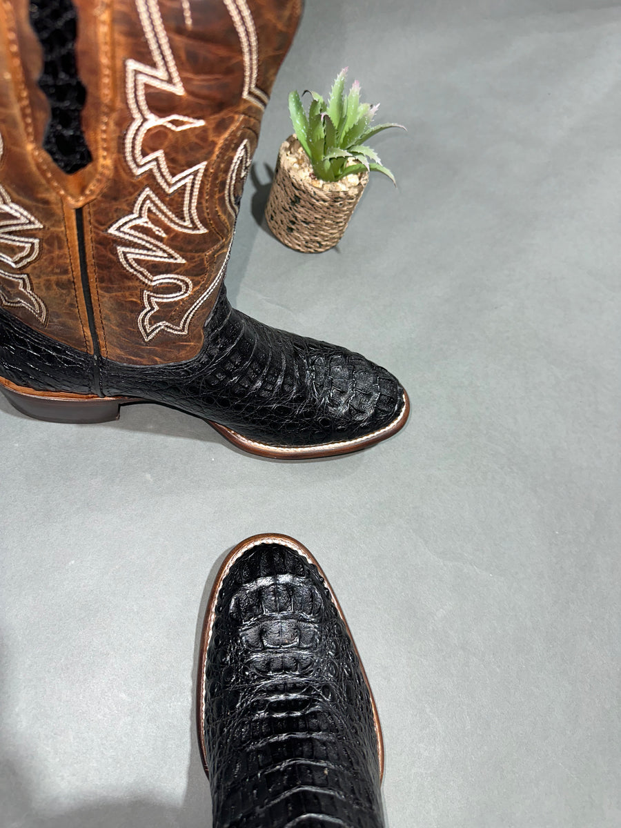 Roman Valley Black Caiman – Roman Valley Ranch
