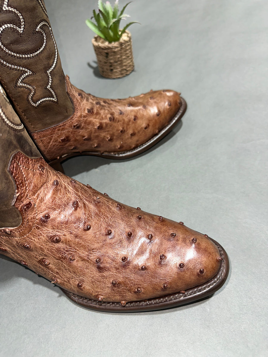 Roman Valley Brown Ostrich – Roman Valley Ranch
